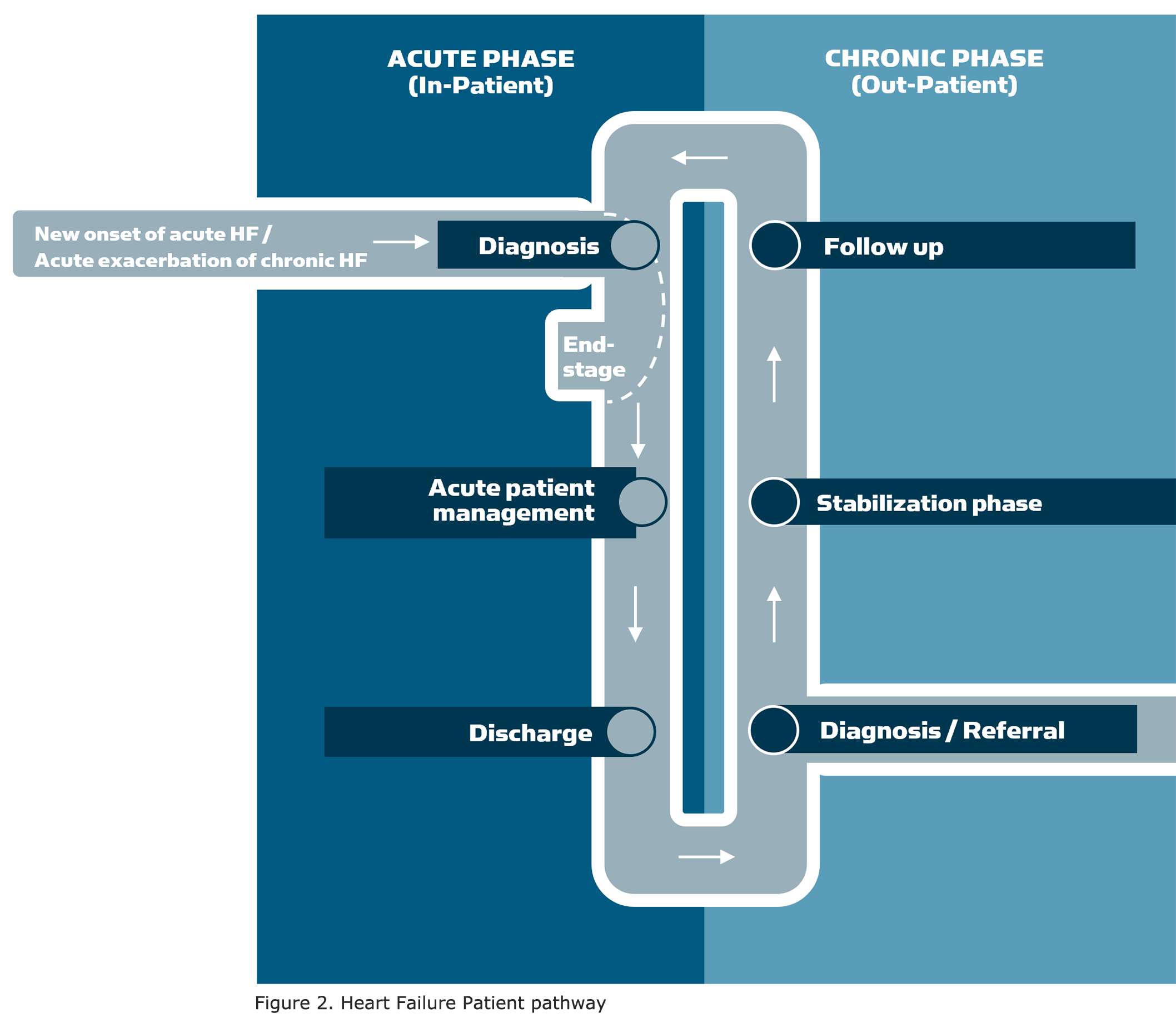 NT-proBNP-Tests mit dem AQT90 FLEX Analysator – Radiometer
